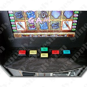 Wall Mount 19" LCD Cherry Master Machine - 8 Line Supply