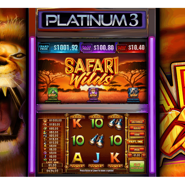 Diamond Skill Games Platinum 3 Multi Game