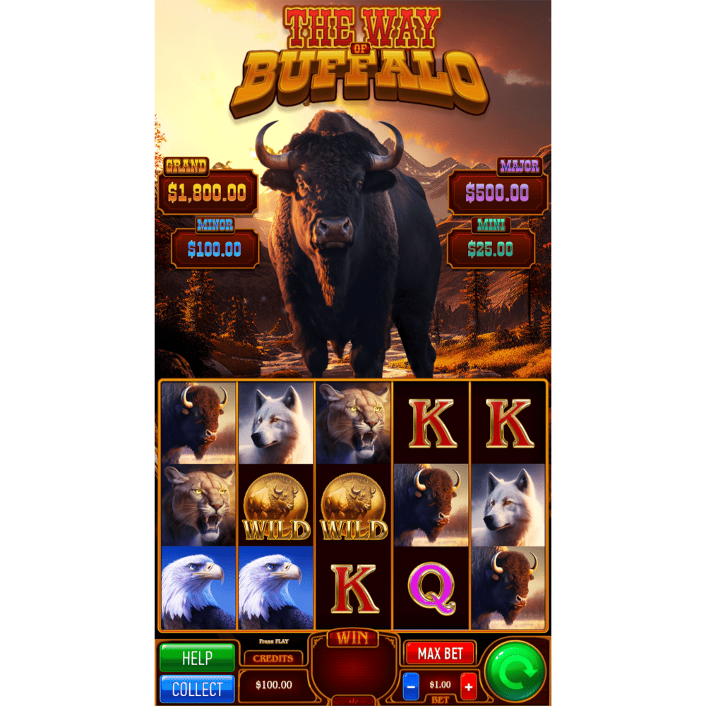 Northern Super Link - Jenka Lab- Vertical Game - 8 Line Supply